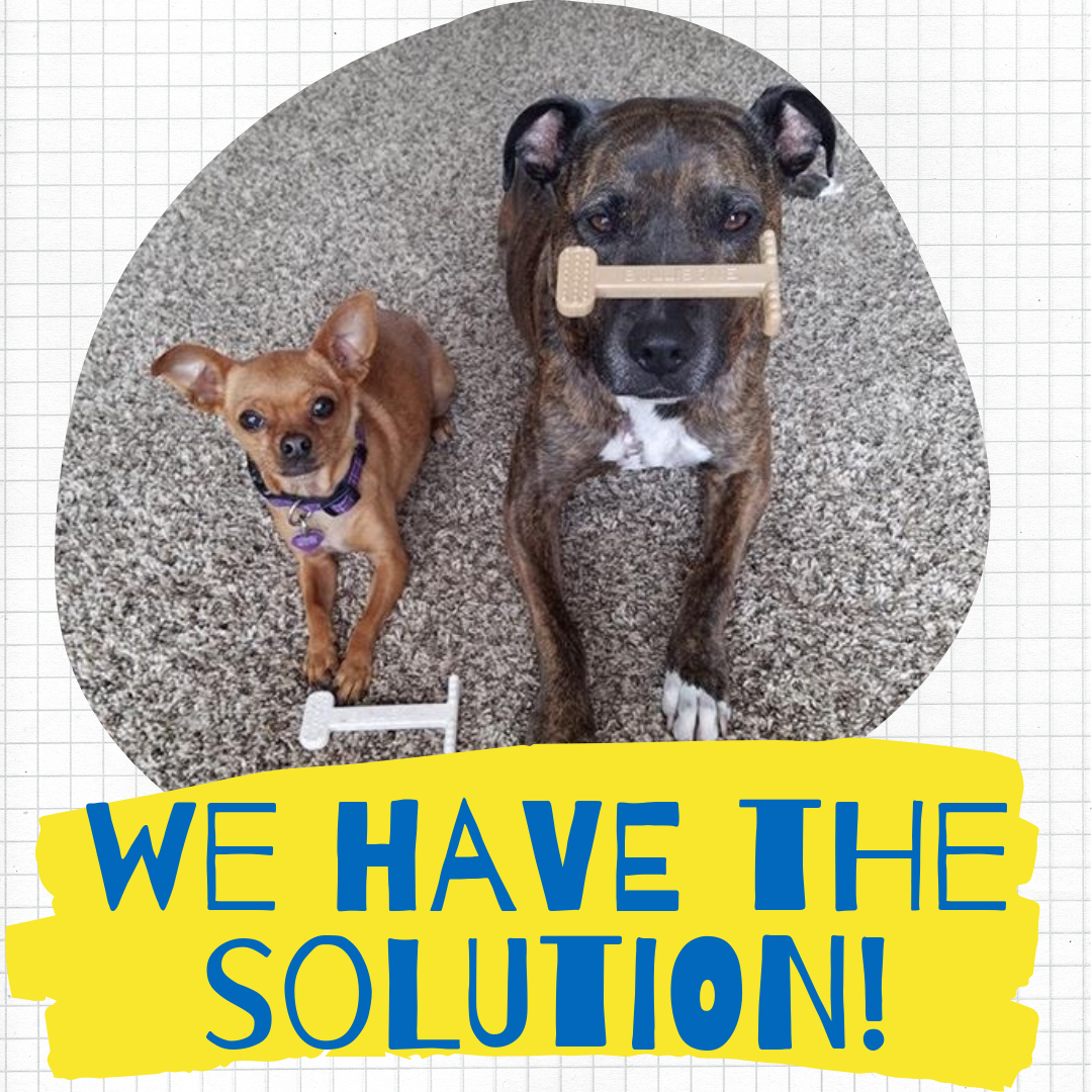 Facts vs. Myths: Why Do Dogs Chew? – BulliBone